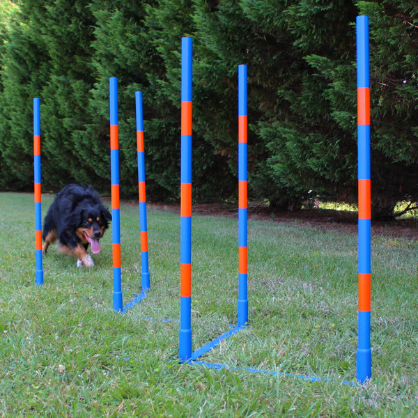 Lord Anson Dog Agility Weave Poles - Competition Grade Adjustable Agility Weave Pole Set - Dog ...